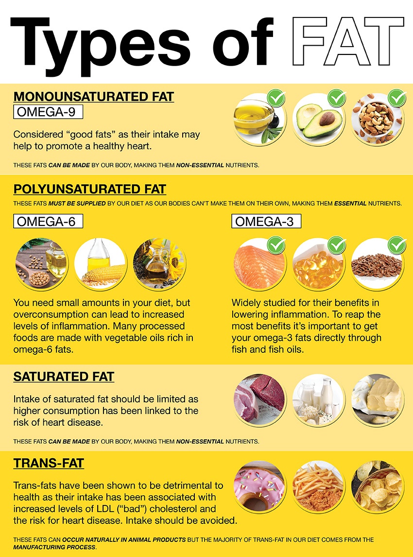 Fats Explained What Is Fat And Why Do We Need It